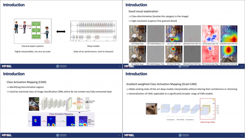 [Journal Club] Grad-CAM: Visual Explanations from Deep Networks via Gradient-based Localization ...